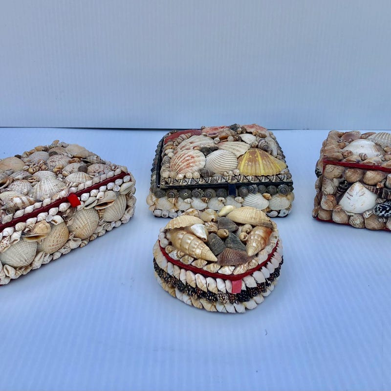 Shell Box - Etsy