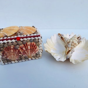 Vintage, Shell Set, Shell Trinket Box and Shell Tidbit Tray, Jewelry ...