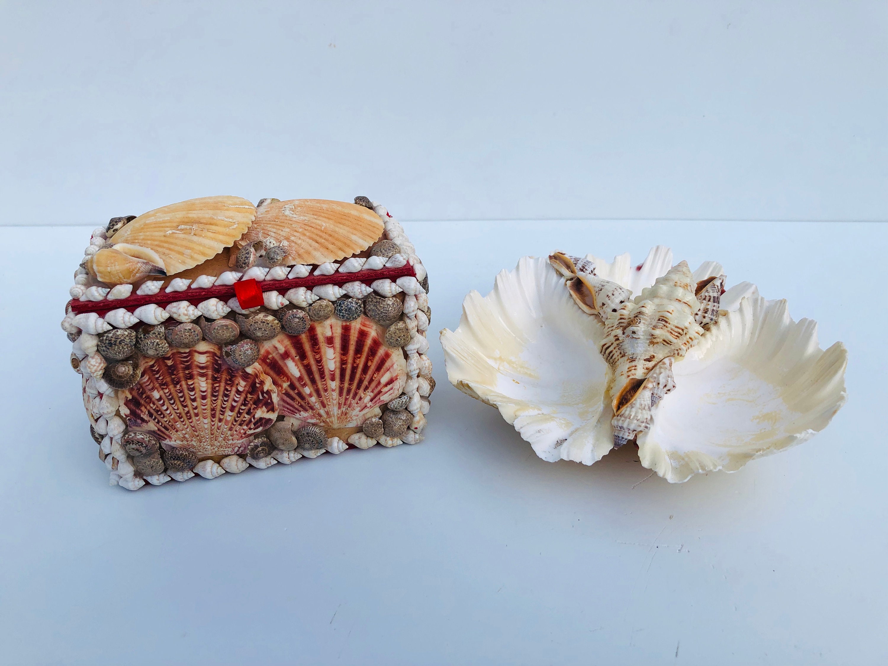 Vintage Shell Set Shell Trinket Box and Shell Tidbit Tray | Etsy