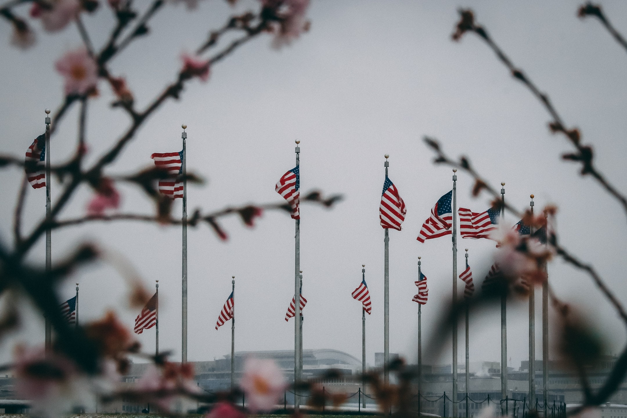 Washington D.C. American Flags Digital Download Art Print - Etsy