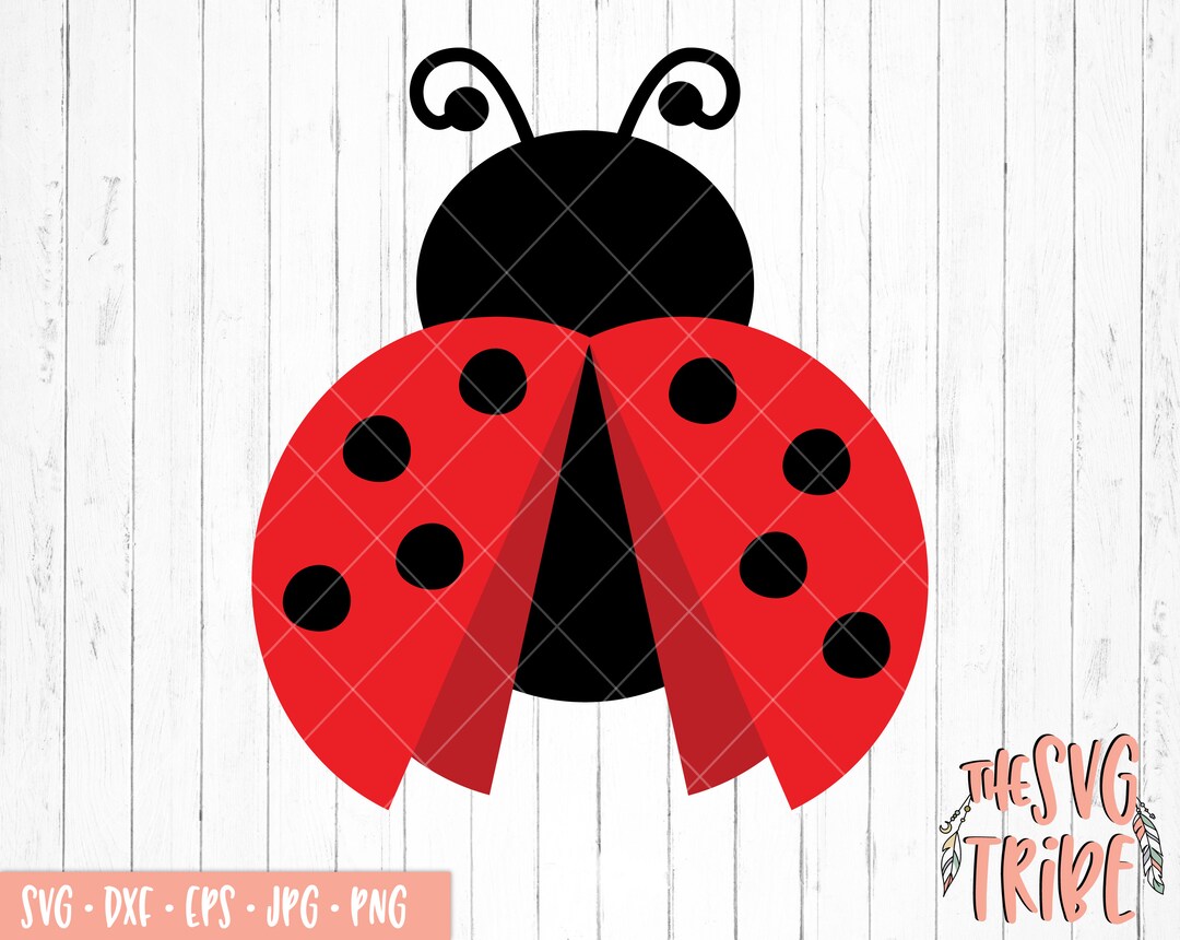 Ladybug SVG, Ladybird SVG, Insect SVG, Cute Svg, Svg for Girls, Lady ...