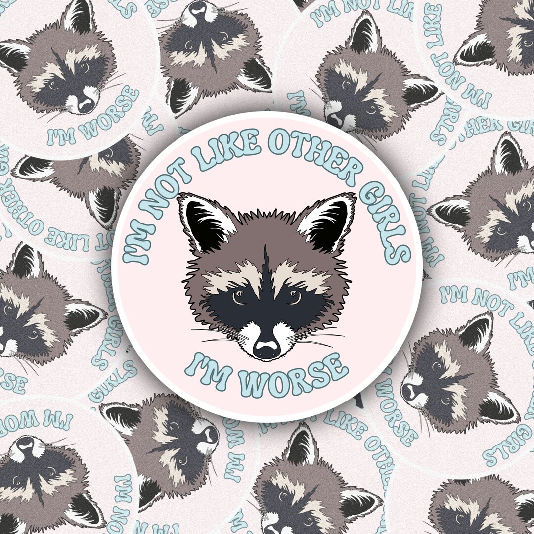 Sticker, Funny Sticker, Raccoon, Laptop Sticker, Water Bottle Sticker ...