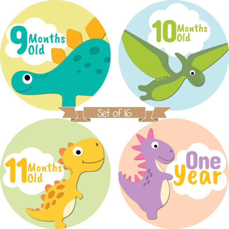 Dinosaur Baby Milestone Stickers Boy 12 Monthly Baby | Etsy