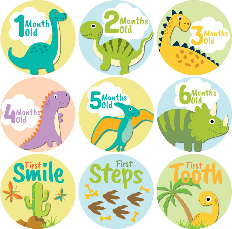 Dinosaur Baby Milestone Stickers Boy 12 Monthly Baby - Etsy
