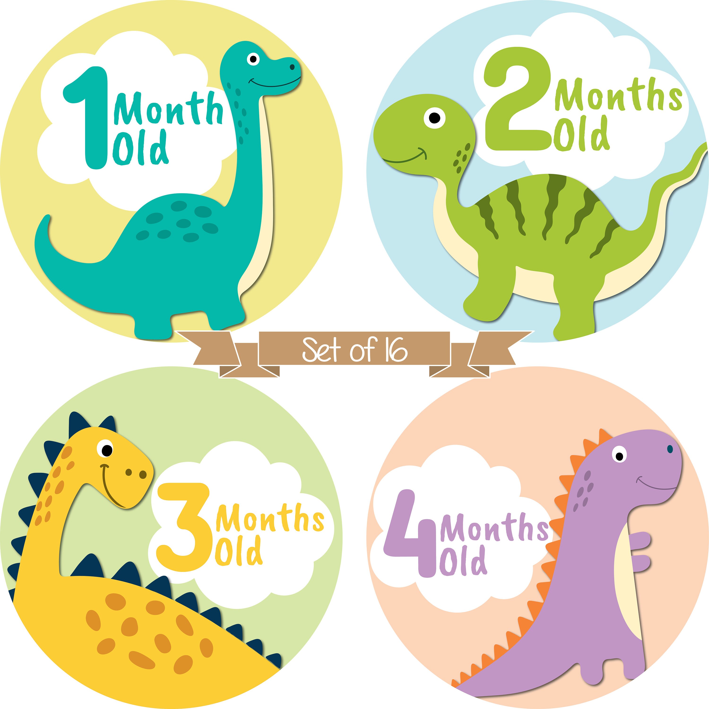 Dinosaur Baby Milestone Stickers Boy 12 Monthly Baby - Etsy