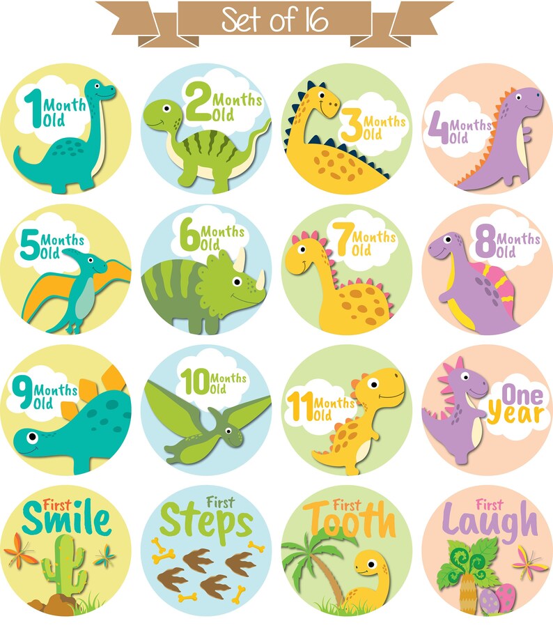 Dinosaur Baby Milestone Stickers Boy 12 Monthly Baby - Etsy