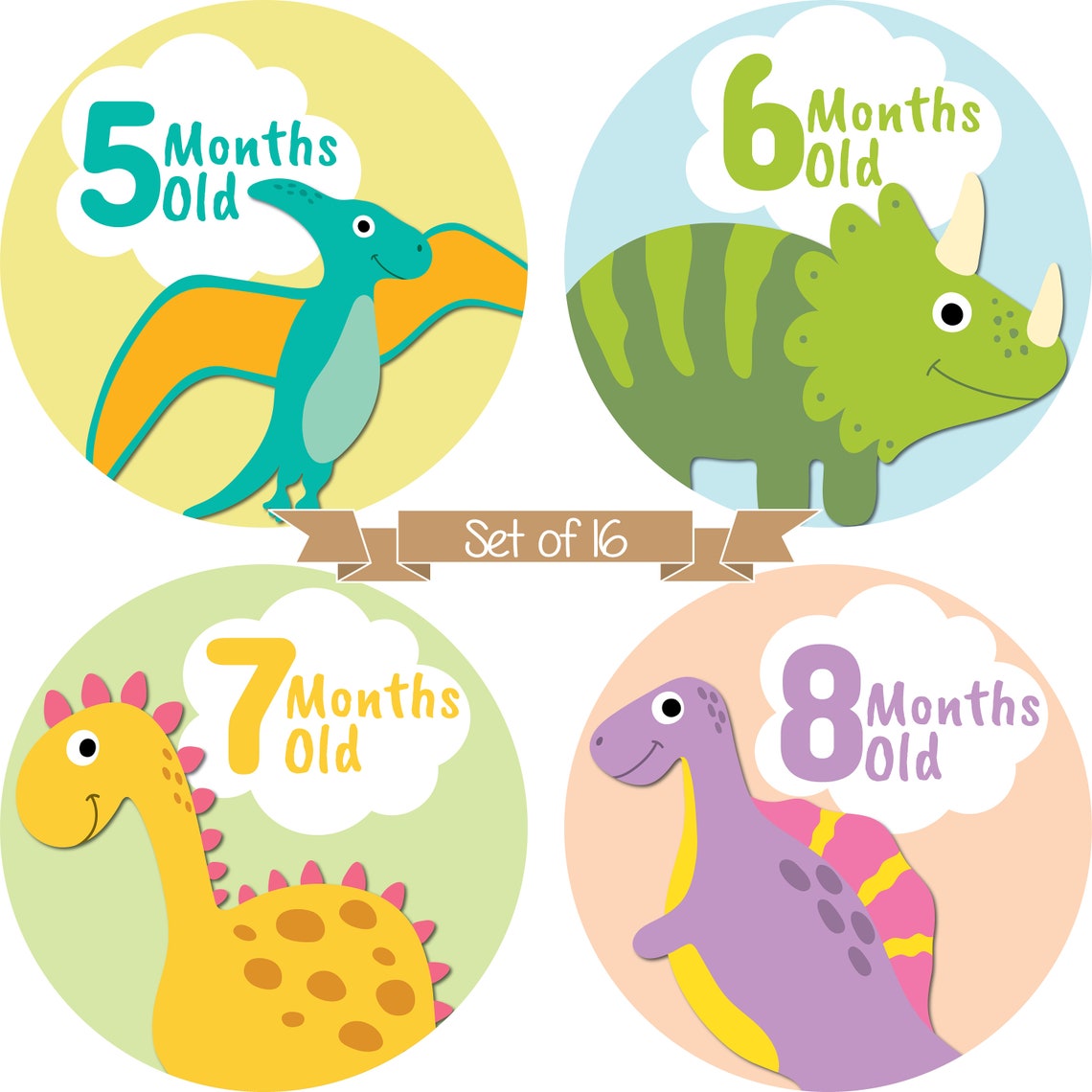 Dinosaur Baby Milestone Stickers Boy 12 Monthly Baby | Etsy