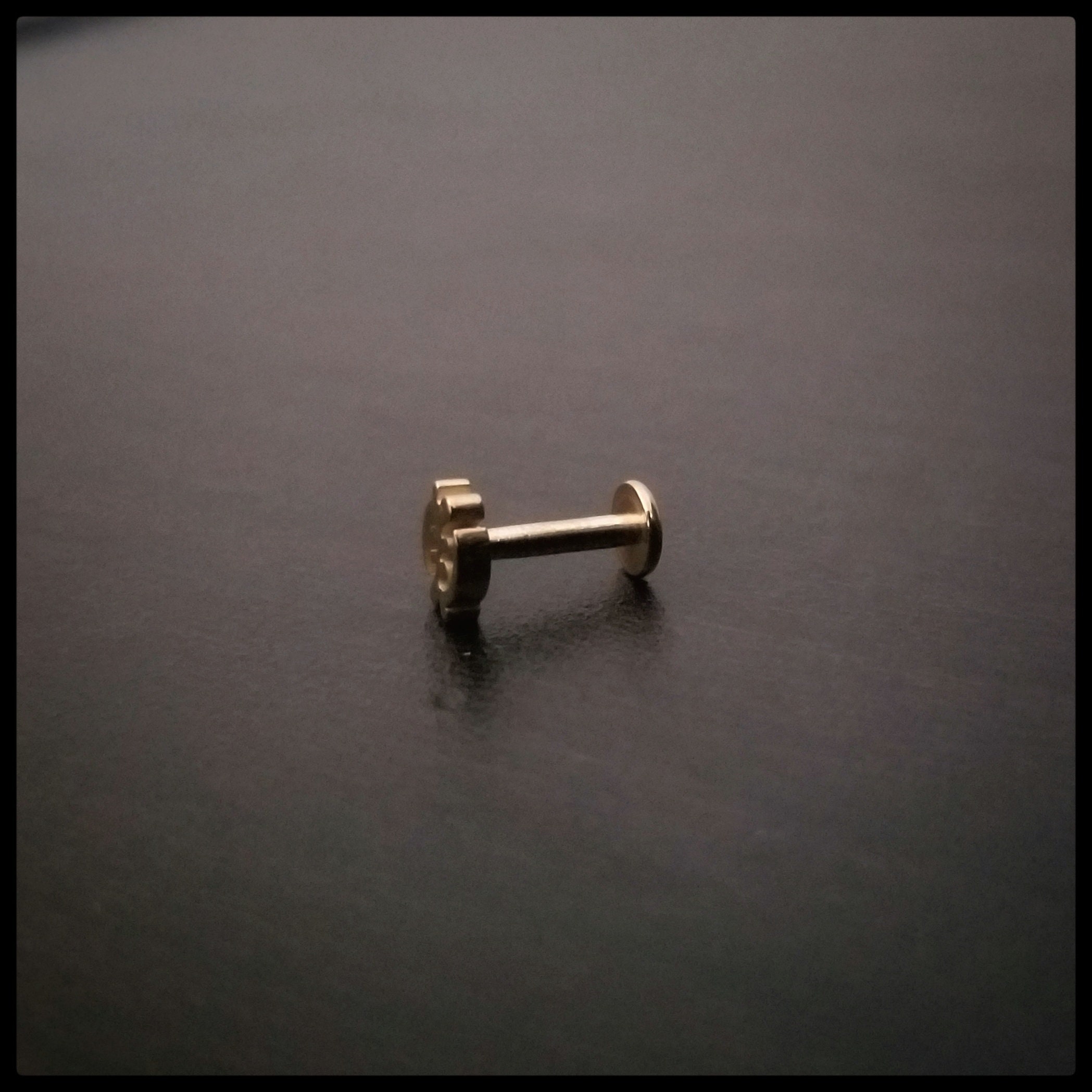 16g Internally Threaded Diamond Labret Stud 14K Solid Gold | atelier ...