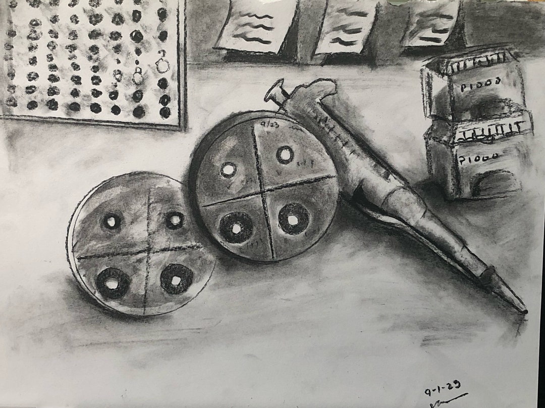 Microbiologist Lab Bench Charcoal Drawing - Etsy