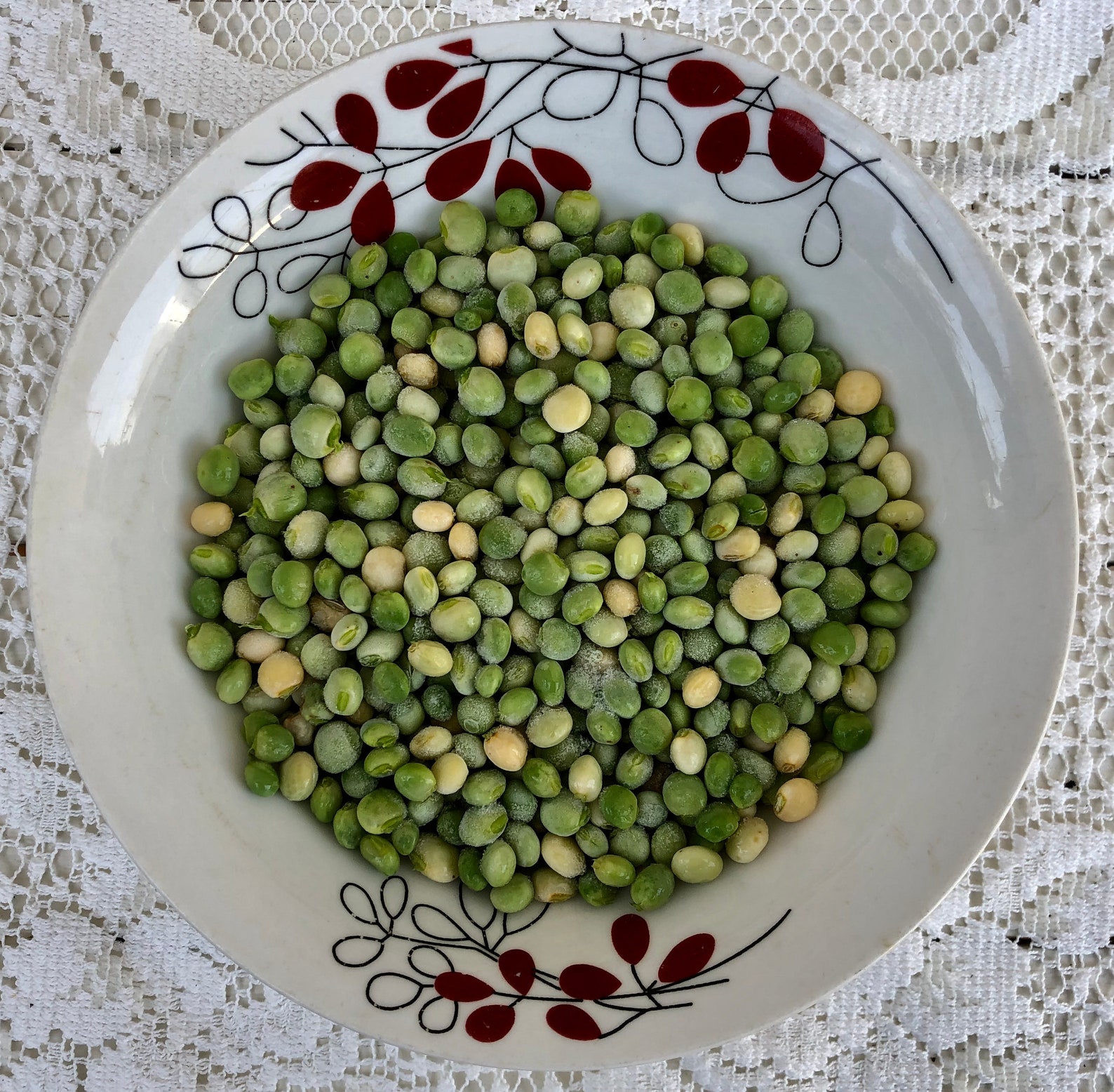 SEEDS Pigeon Pea Dhal Cajanus Cajan Congo Peas Jamaican Gungo - Etsy