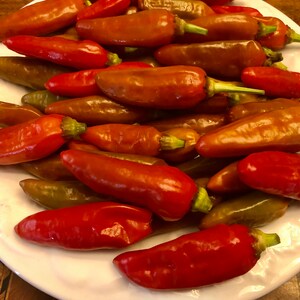 SEEDS Spicy Pepper Capsicum Annuum Hot Pepper Ají Rico Ají Picante De ...