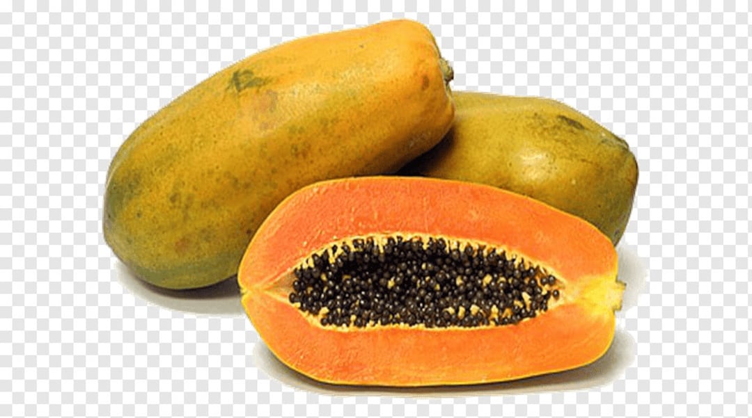 50 SEEDS Papaya Carica Papaya Tree Melon Lechosa Lechoza - Etsy