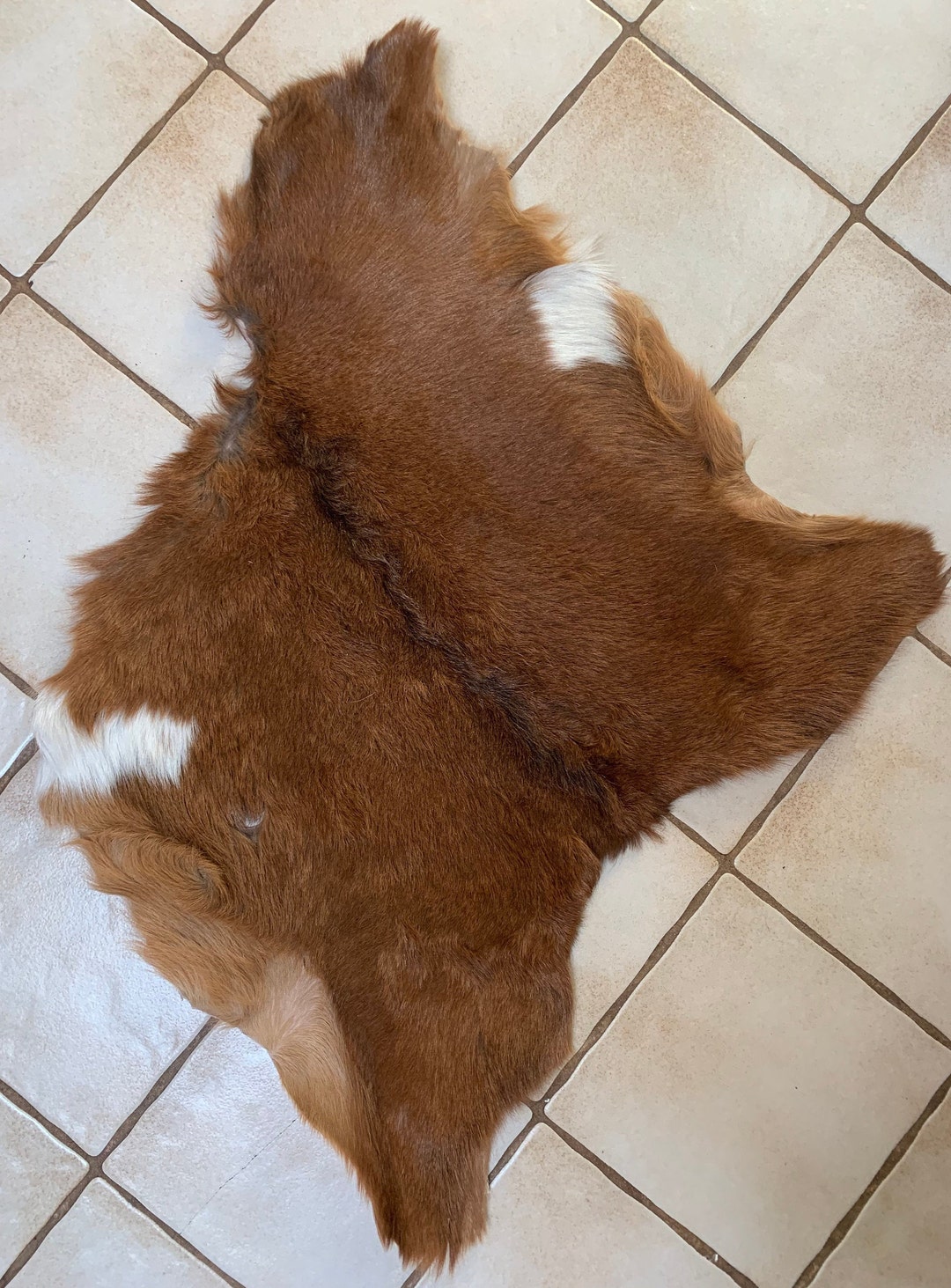 Naturally Tanned Goat Hide - Etsy