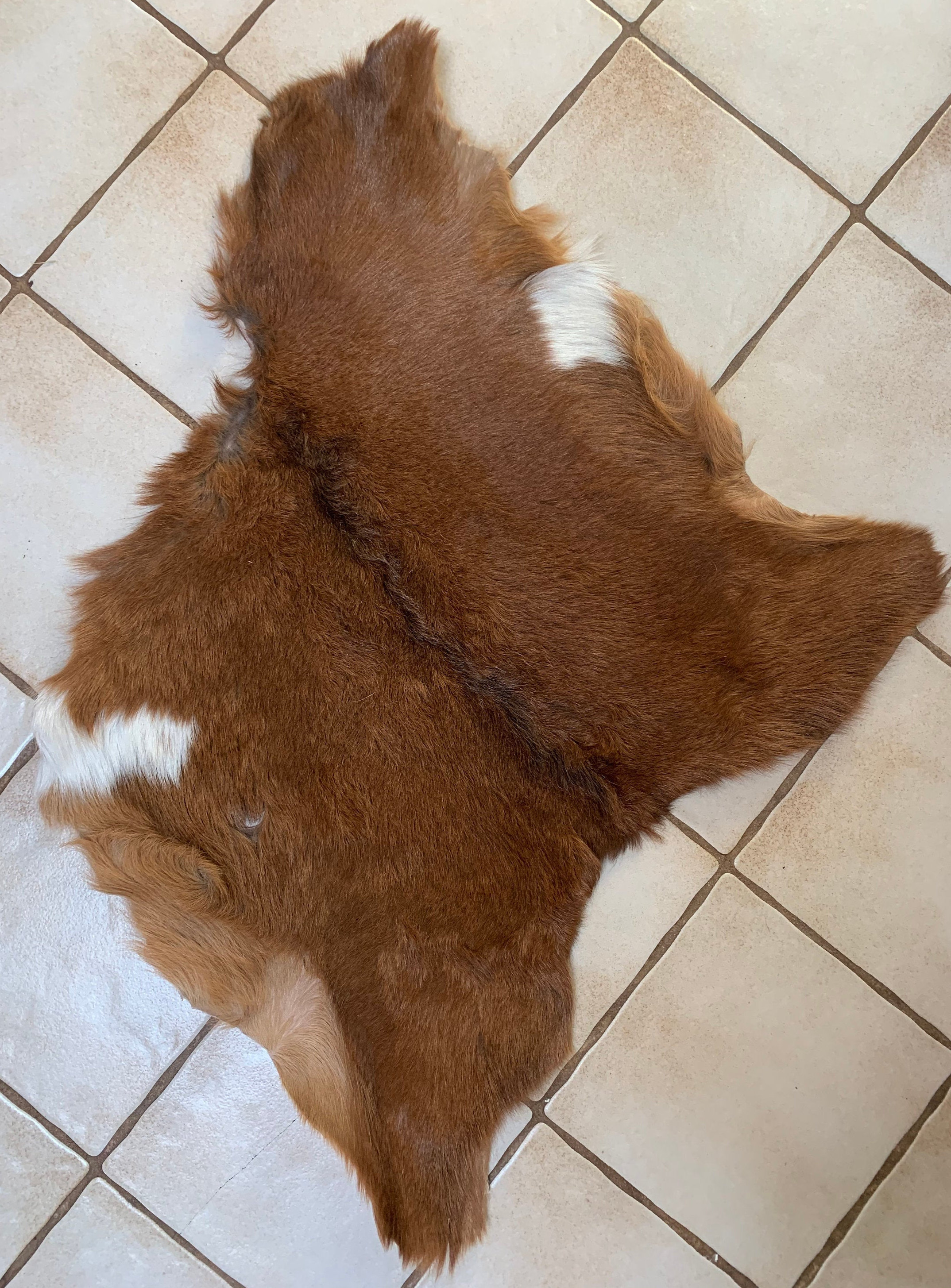 Naturally Tanned Goat Hide - Etsy