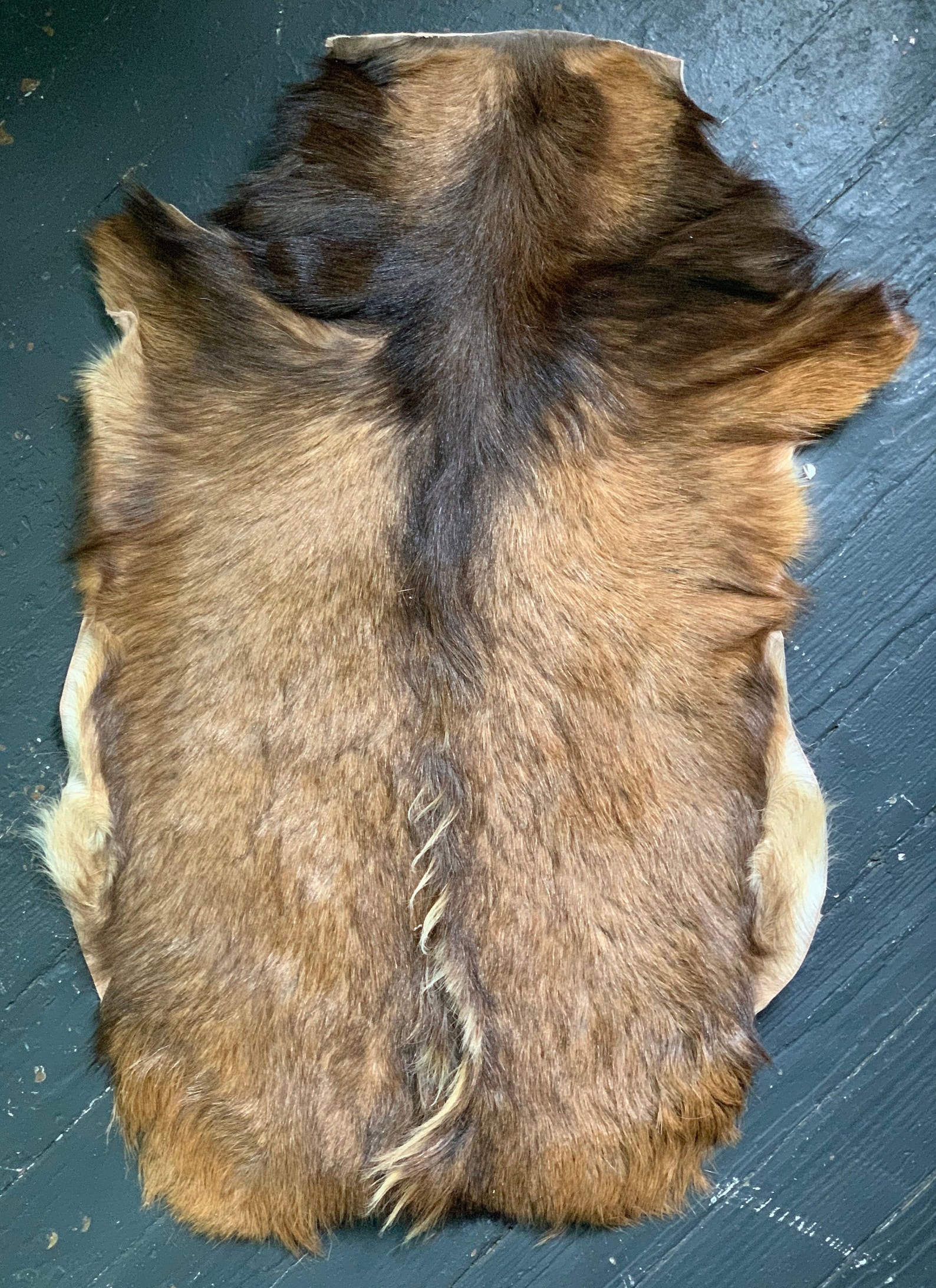 Naturally Tanned Goat Hide - Etsy