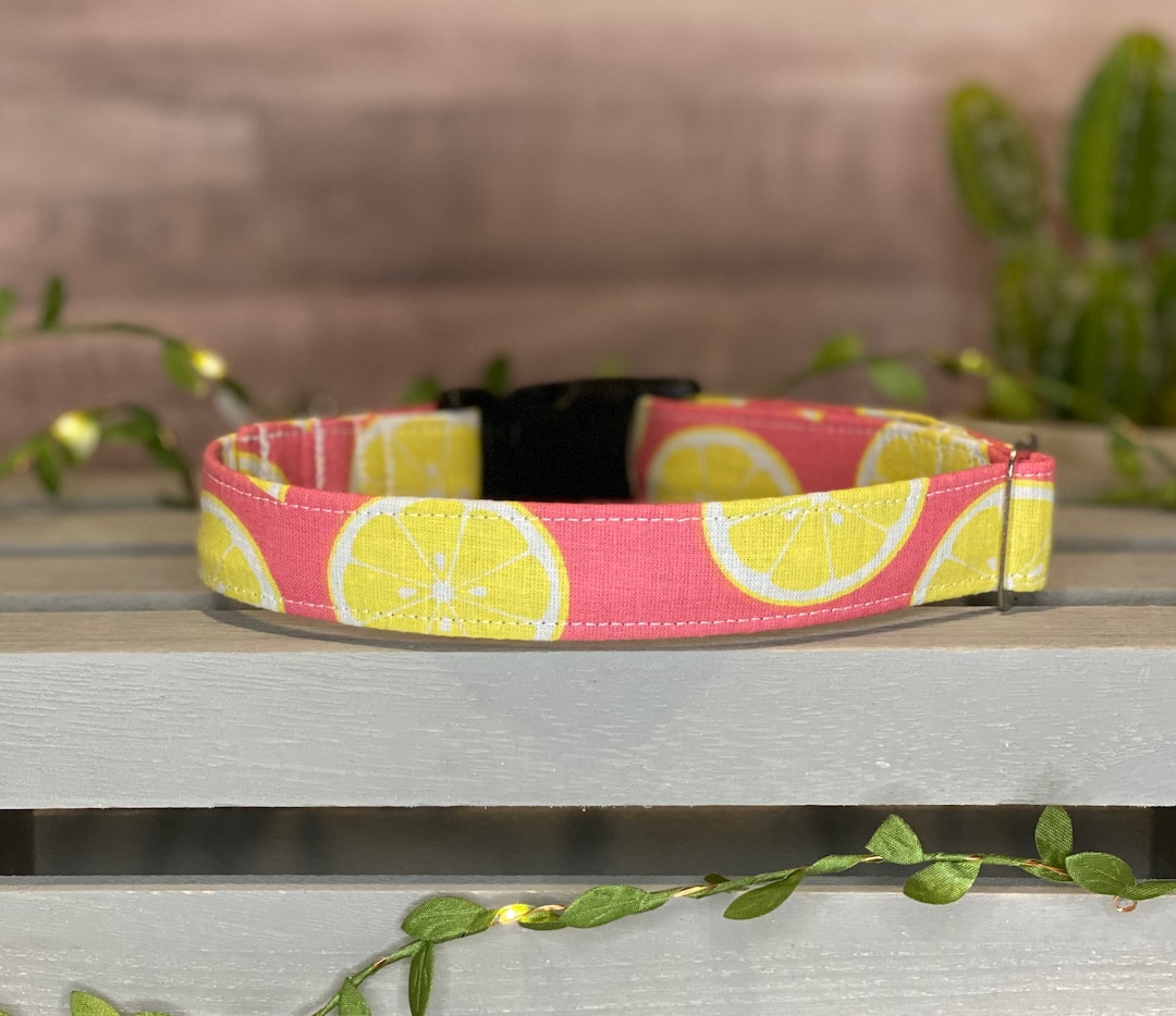 Collar para perro de limón accesorios para mascotas de - Etsy España