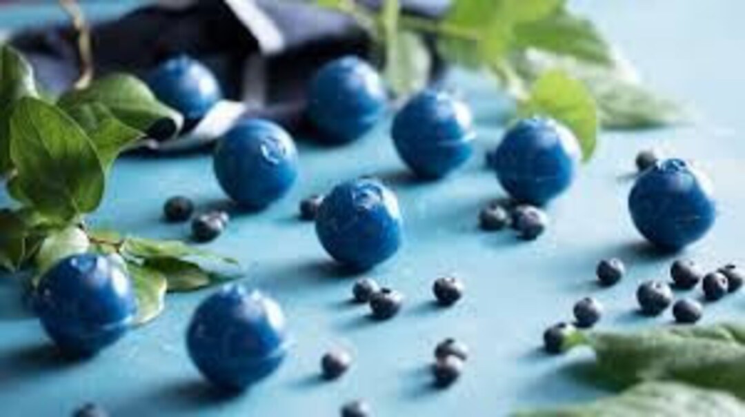 Blueberry Fragrance Oil - Etsy