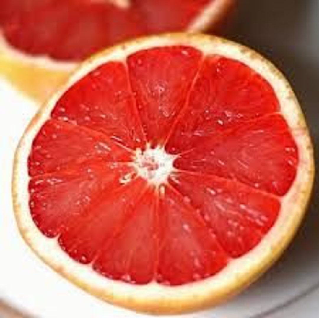 Pink Grapefruit Fragrance Oil - Etsy