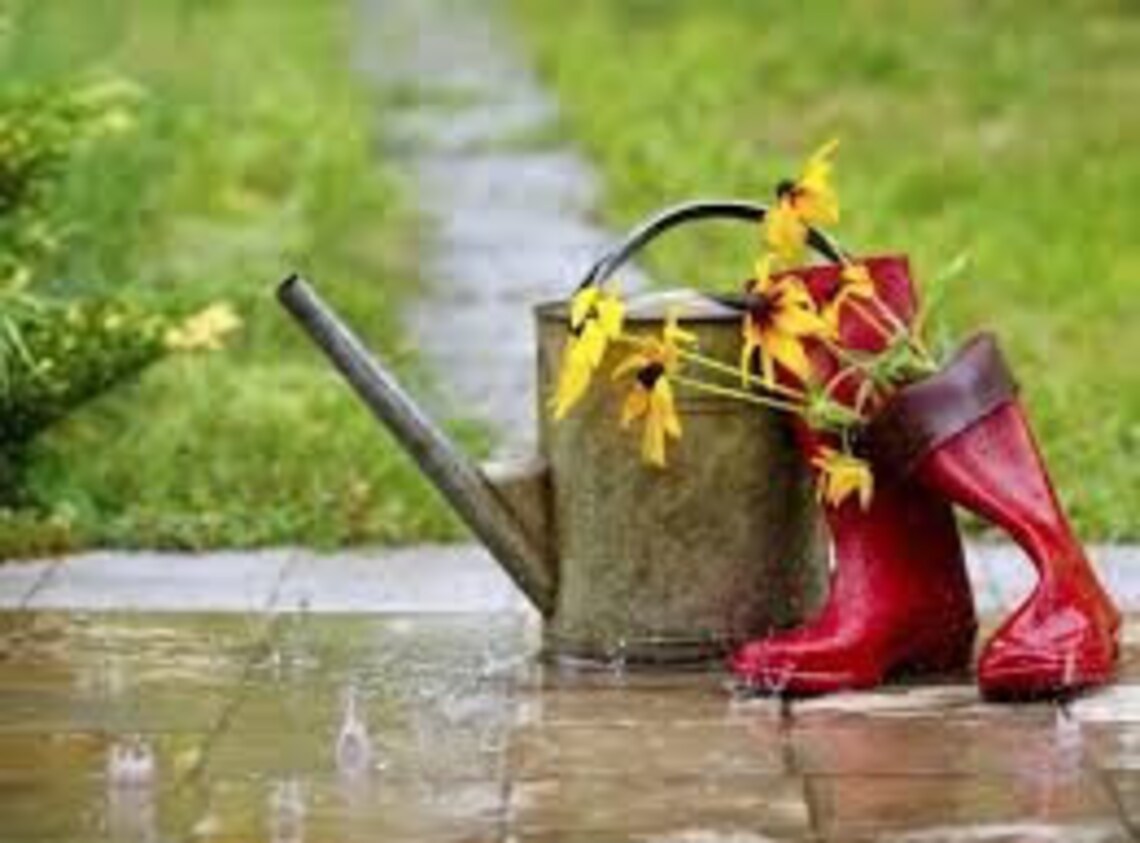 Spring Rain Fragrance Oil - Etsy