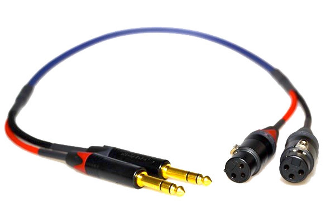 Professional Studio 2-way Loom Multicore Lead 2x 3-pin XLR Female to 2x ...