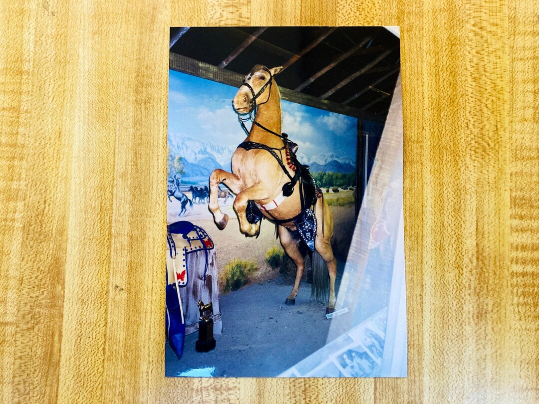 6 Roy Rogers Museum Candid Photos - Etsy