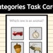 Function Cards - ABA & Speech Therapy - Discrete Trial Training Flash ...