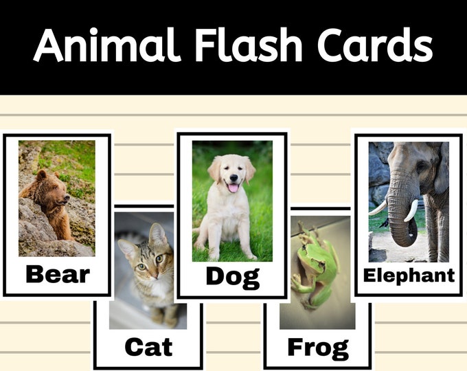 WH Questions Task Cards for Receptive Identification Autism Activities ...