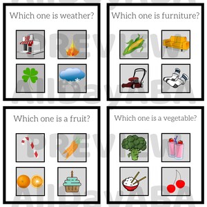 Category / Class Cards - ABA & Speech Therapy - Discrete Trial Training ...