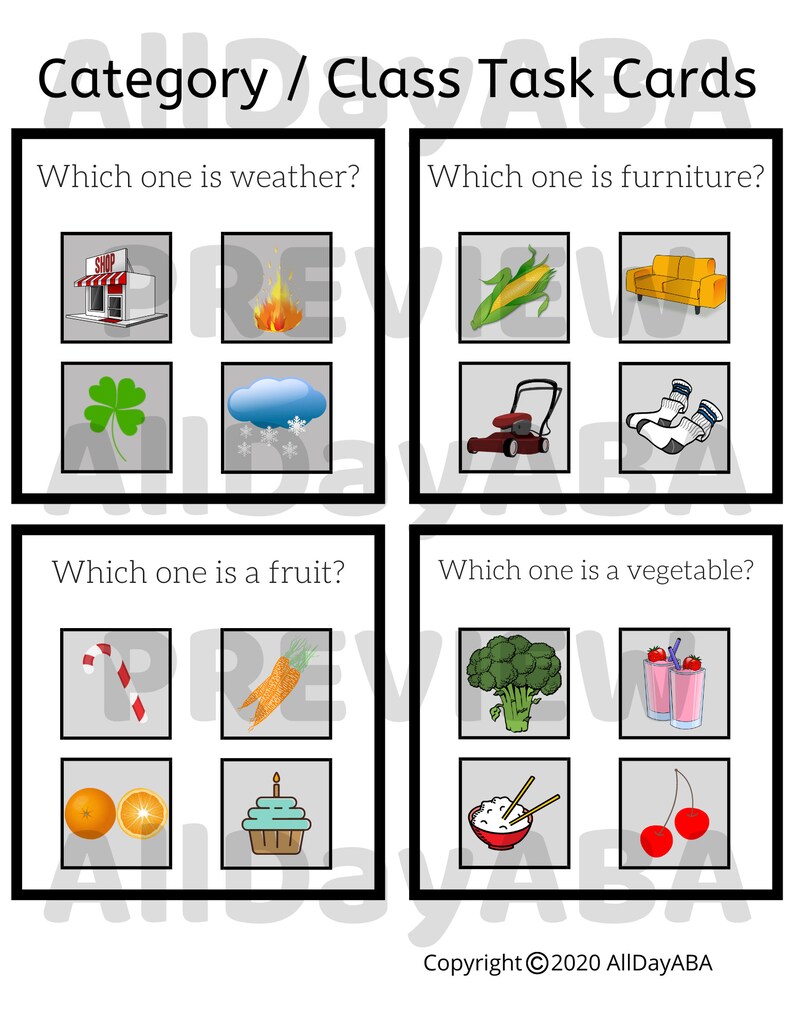 Category / Class Cards ABA & Speech Therapy Discrete Trial | Etsy