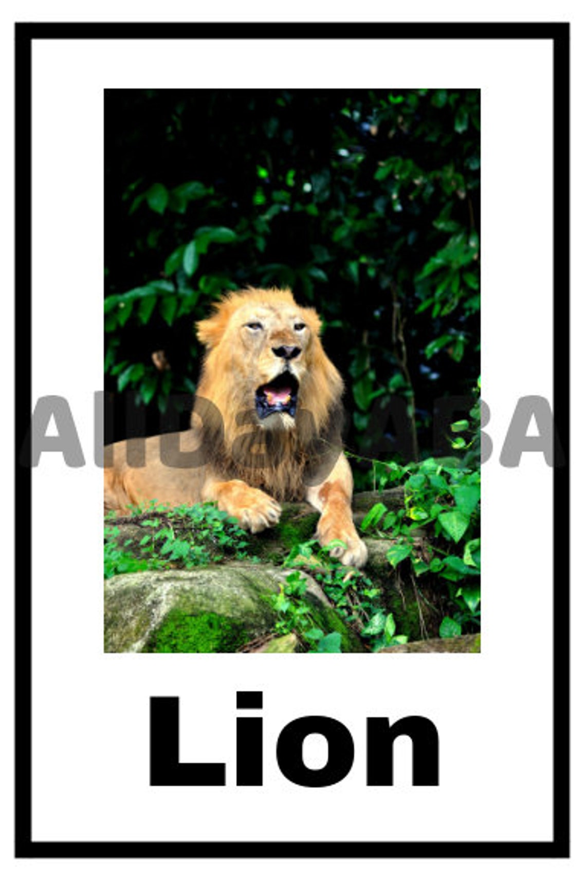 Animal Flash Cards Toddler Learning Toddler Activities - Etsy