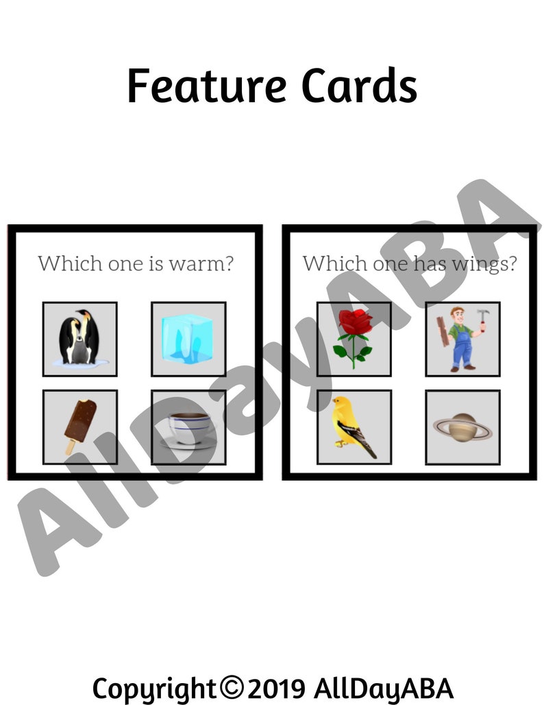 Feature Cards ABA & Speech Therapy Discrete Trial Training | Etsy