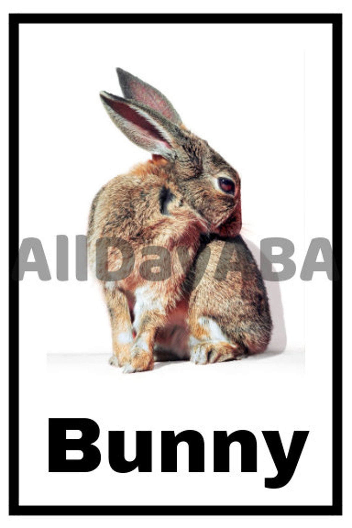 Animal Flash Cards Toddler Learning Toddler Activities - Etsy