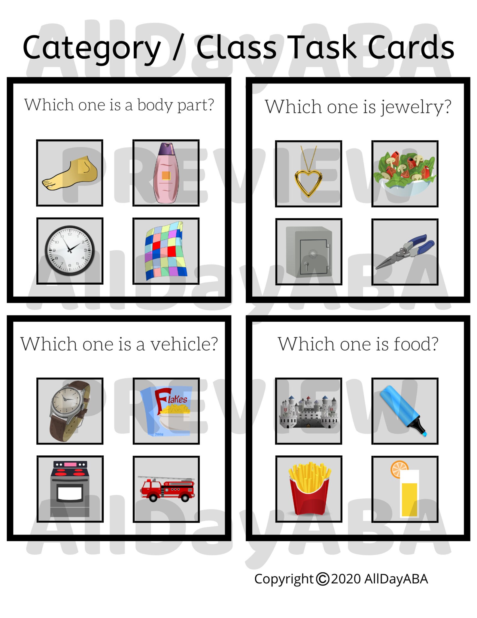 Category / Class Cards ABA & Speech Therapy Discrete Trial | Etsy