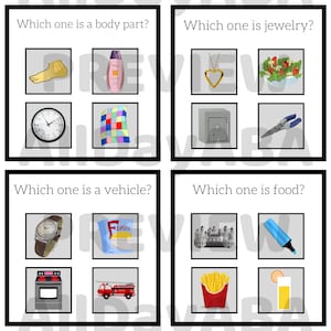 Category / Class Cards - ABA & Speech Therapy - Discrete Trial Training ...