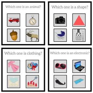 Category / Class Cards - ABA & Speech Therapy - Discrete Trial Training ...