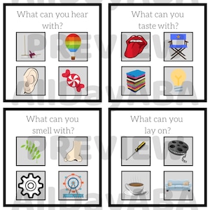 Function Cards - ABA & Speech Therapy - Discrete Trial Training Flash ...