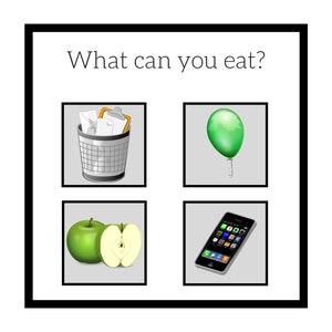 Feature Function Class Task Cards Bundle ABA Speech Therapy | Etsy