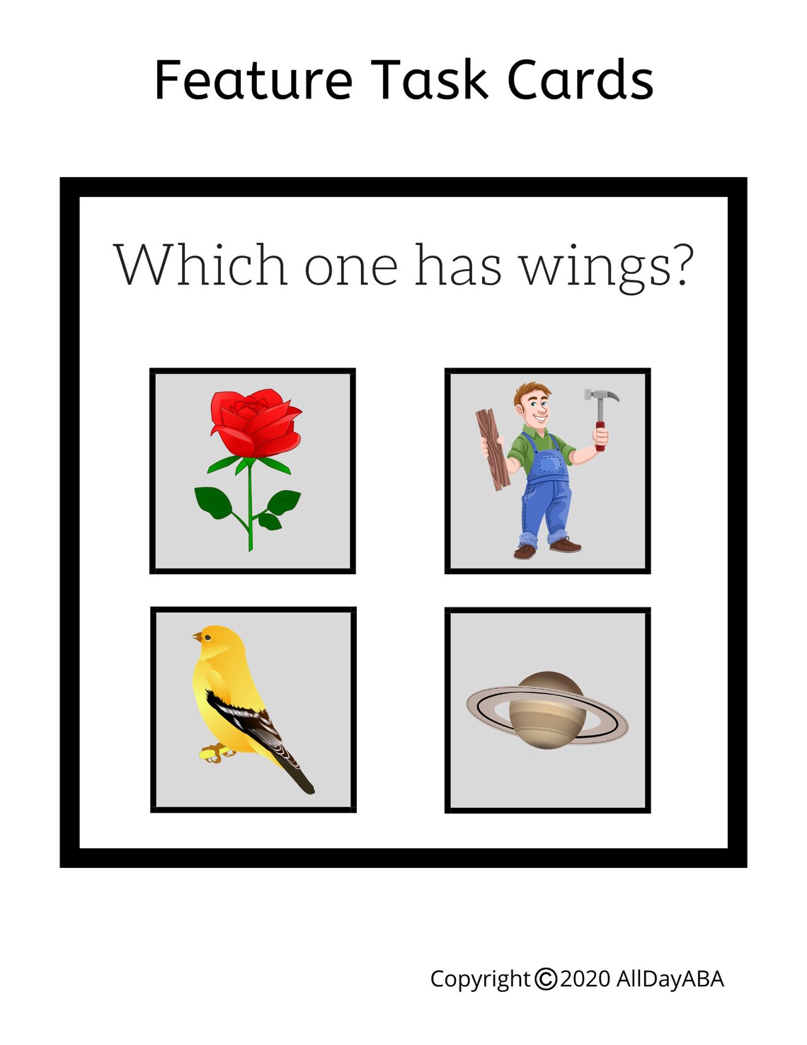 Feature Cards ABA & Speech Therapy Discrete Trial Training Flash Cards ...