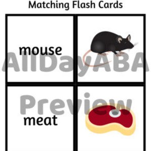 Sight Words and Picture Matching Flash Cards - Matching Word to Picture ...