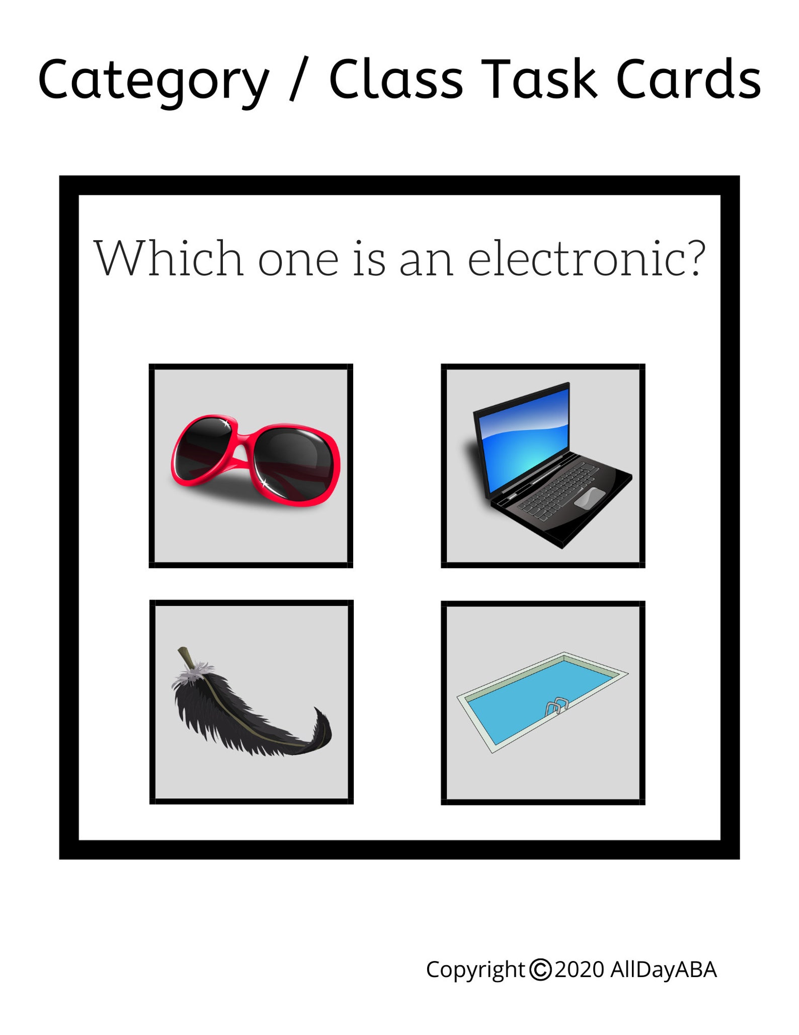 Category / Class Cards ABA & Speech Therapy Discrete Trial | Etsy