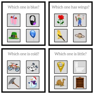 Feature Cards - ABA & Speech Therapy - Discrete Trial Training Flash ...