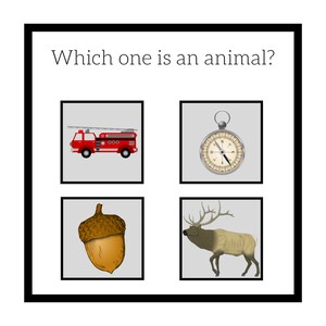 Category / Class Cards - ABA & Speech Therapy - Discrete Trial Training ...