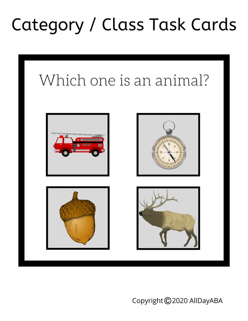 Category / Class Cards ABA & Speech Therapy Discrete Trial | Etsy