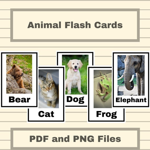 Animal Flash Cards Toddler Learning Toddler Activities | Etsy