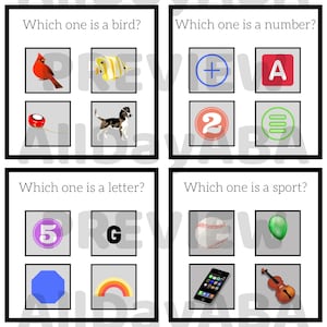 Category / Class Cards - ABA & Speech Therapy - Discrete Trial Training ...