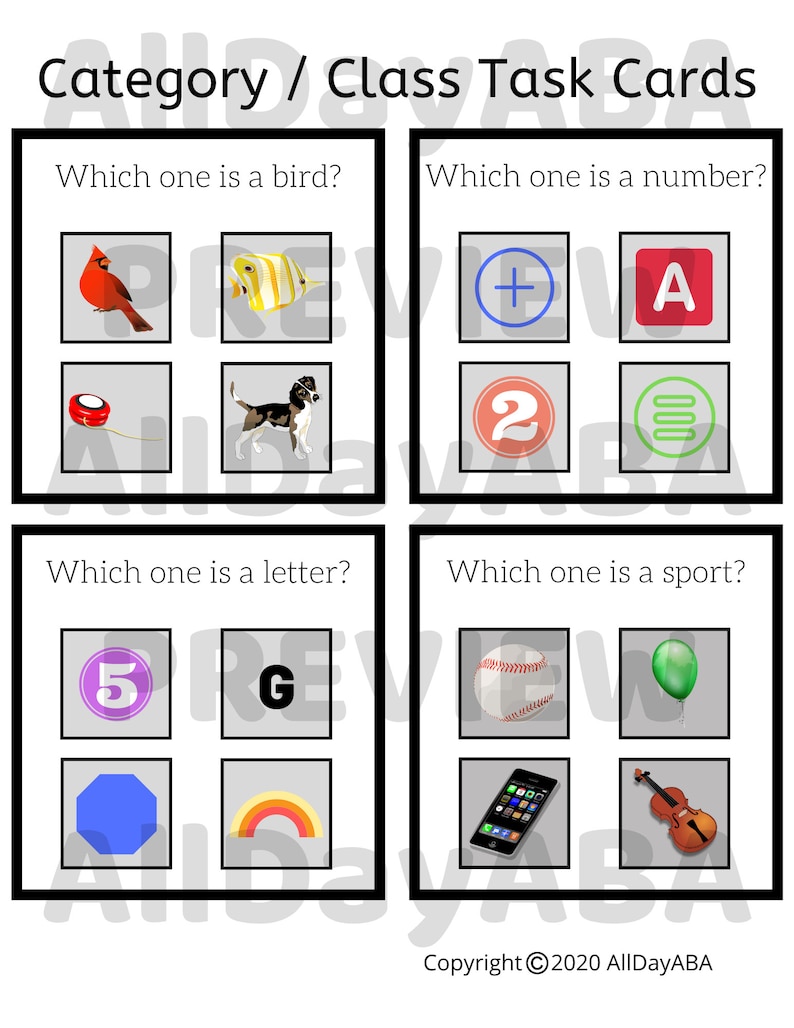 Category / Class Cards ABA & Speech Therapy Discrete Trial | Etsy