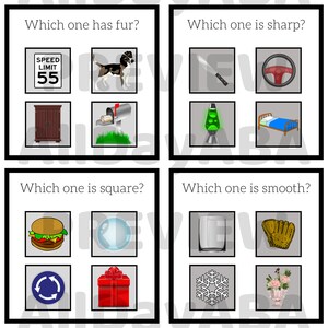 Feature Cards - ABA & Speech Therapy - Discrete Trial Training Flash ...