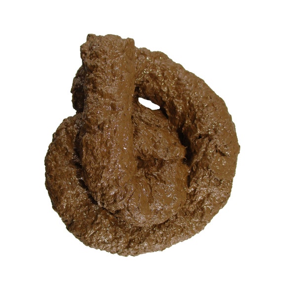 Paper Mache Dog - Etsy