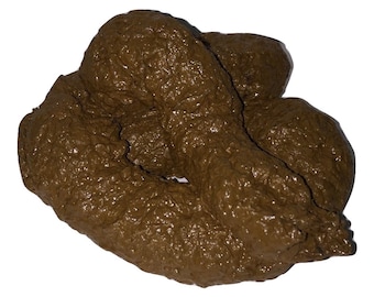 Paper Mache Poop - Etsy