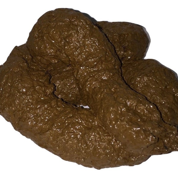 Realistic Dog - Etsy